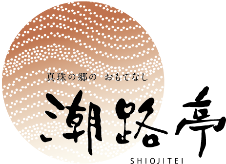 VUEVO Display (ビューボ ディスプレイ) | 透明ディスプレイ× リアルタイム字幕・翻訳